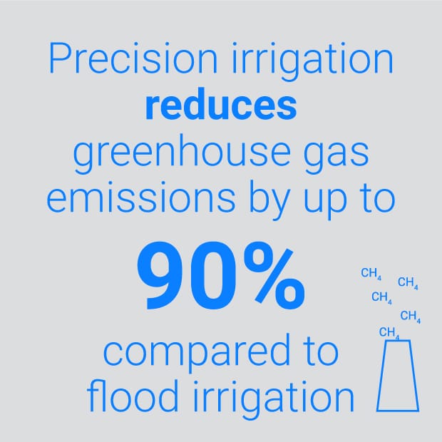 Irrigation de précision