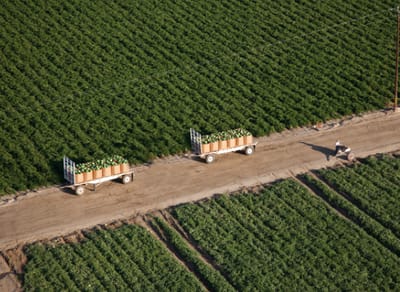 Systèmes de ferti-irrigation de précision