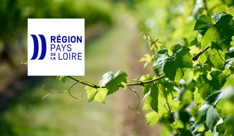 Plan de compétitivité et d'adaptation des entreprises (PCAE) volet végétal