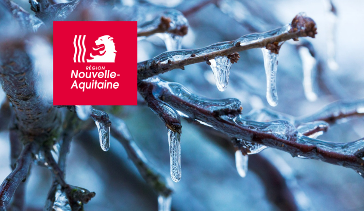 PCAE – Protection des cultures contre le gel et la grêle