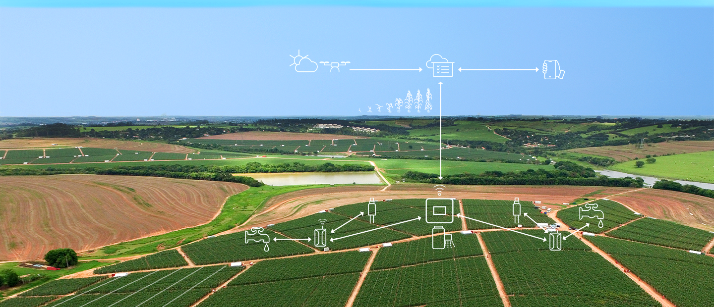 Ferti-irrigation